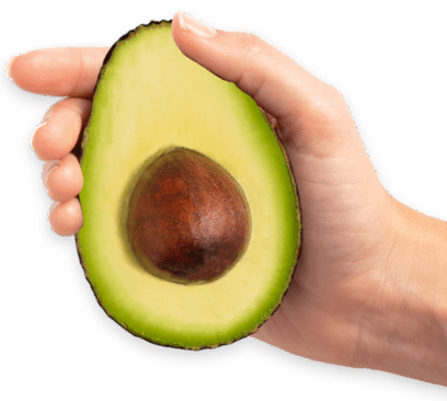 Avocado Tree Game - The Goodness Hotel - Avocados From Mexico