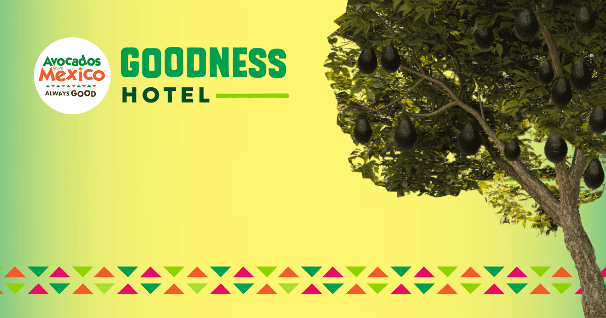 Avocado Tree Game - The Goodness Hotel - Avocados From Mexico